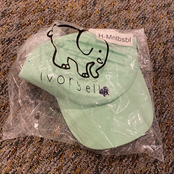 ivory ella | Accessories | Ivory Ella Mint Baseball Hat | Poshmark